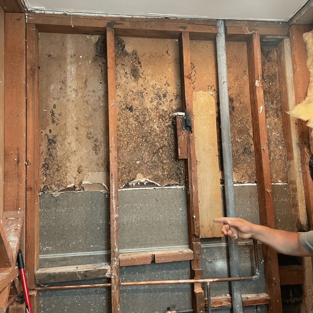 Identifying Water Damage - JW Home Care
